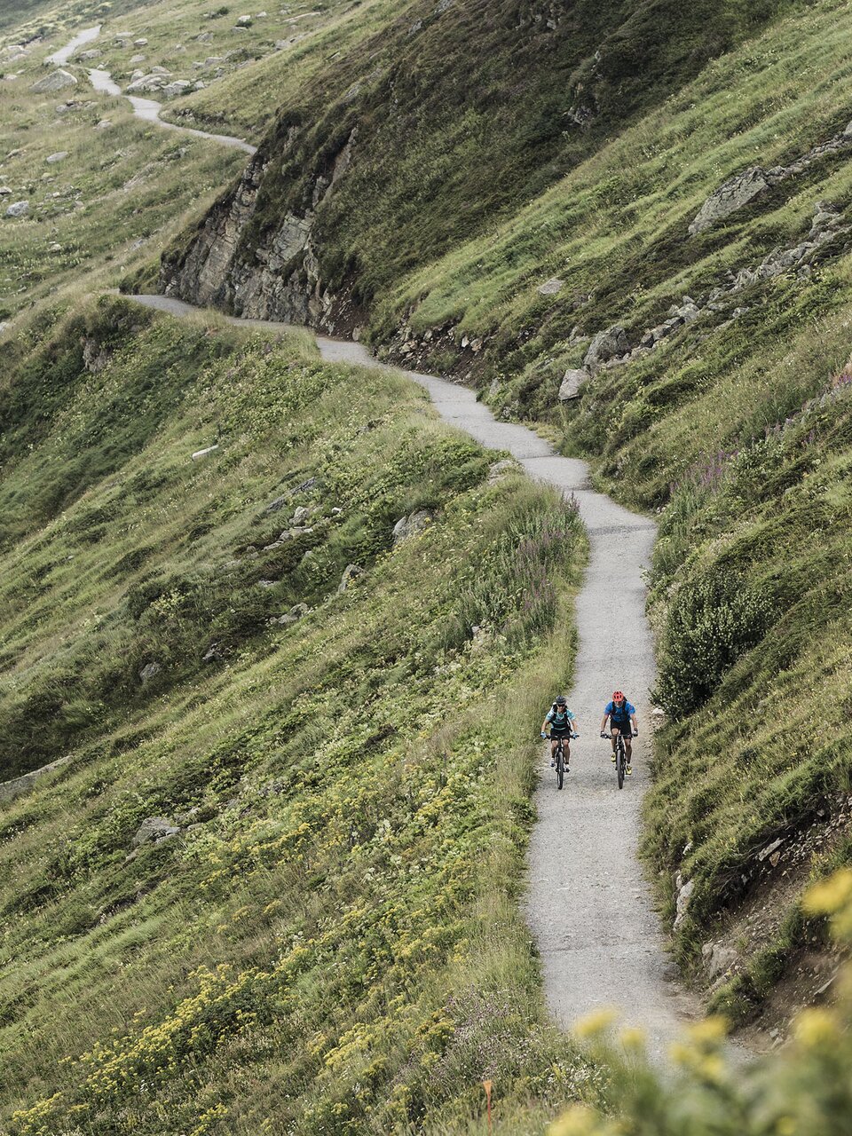 SIMPLON Mountainbikes