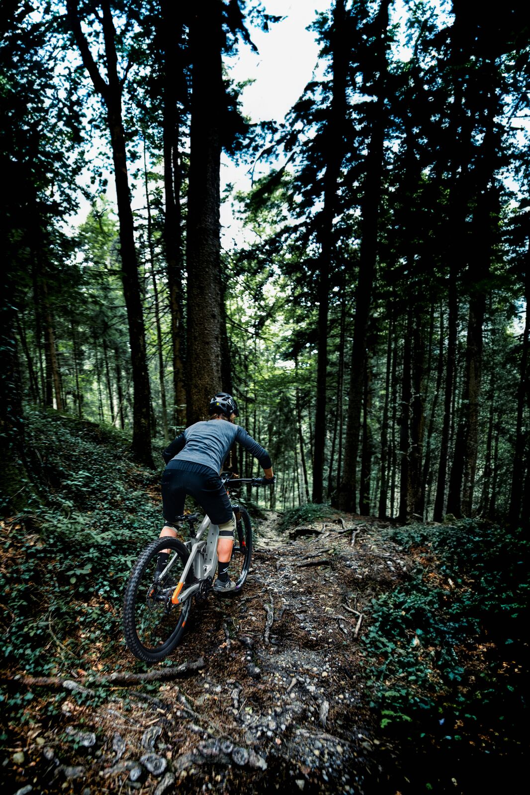SIMPLON RAPCON :ePinion: The first big review at EMTB