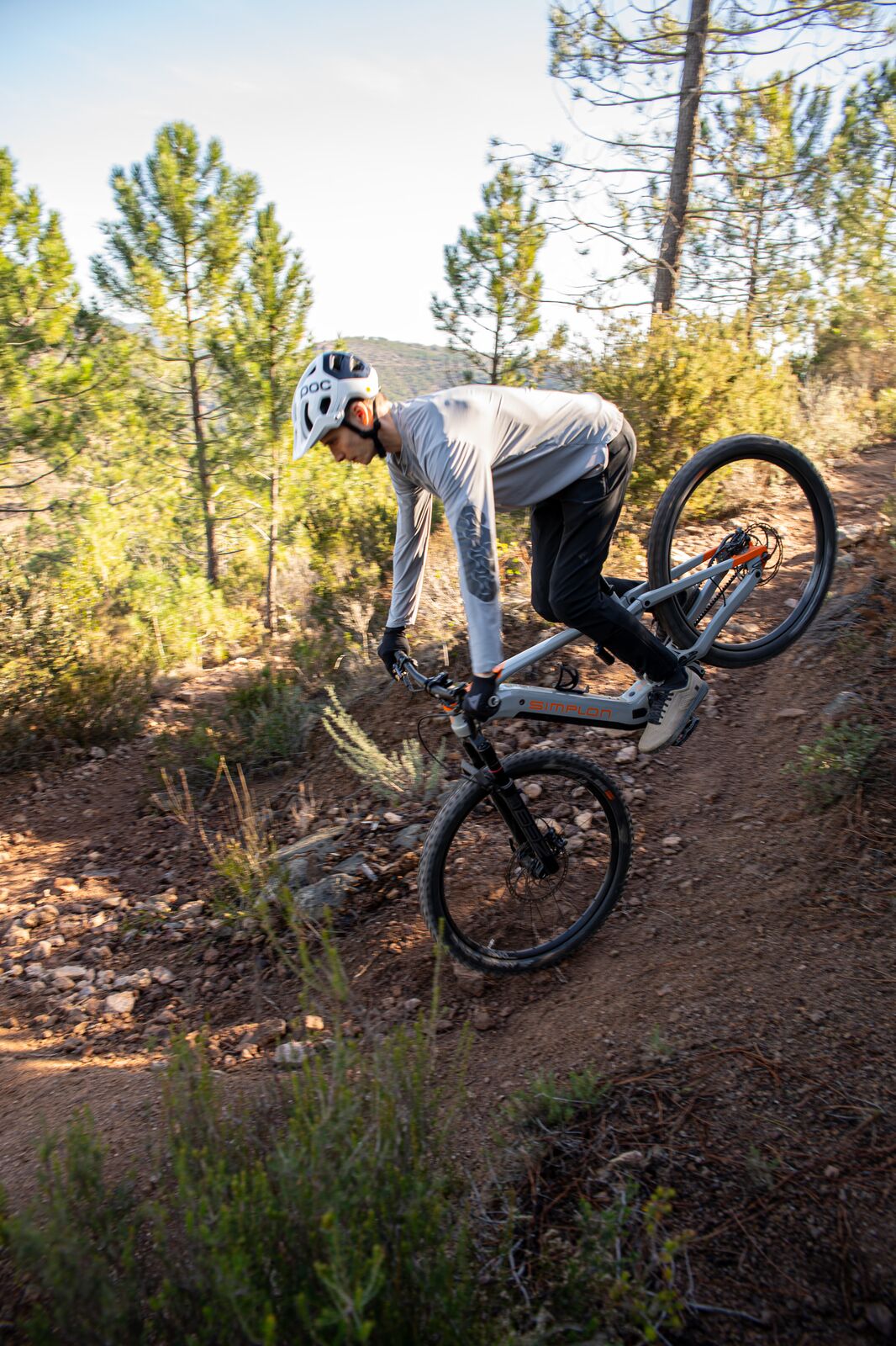 The Pinion E-Bike Motor | Simplon Magazine