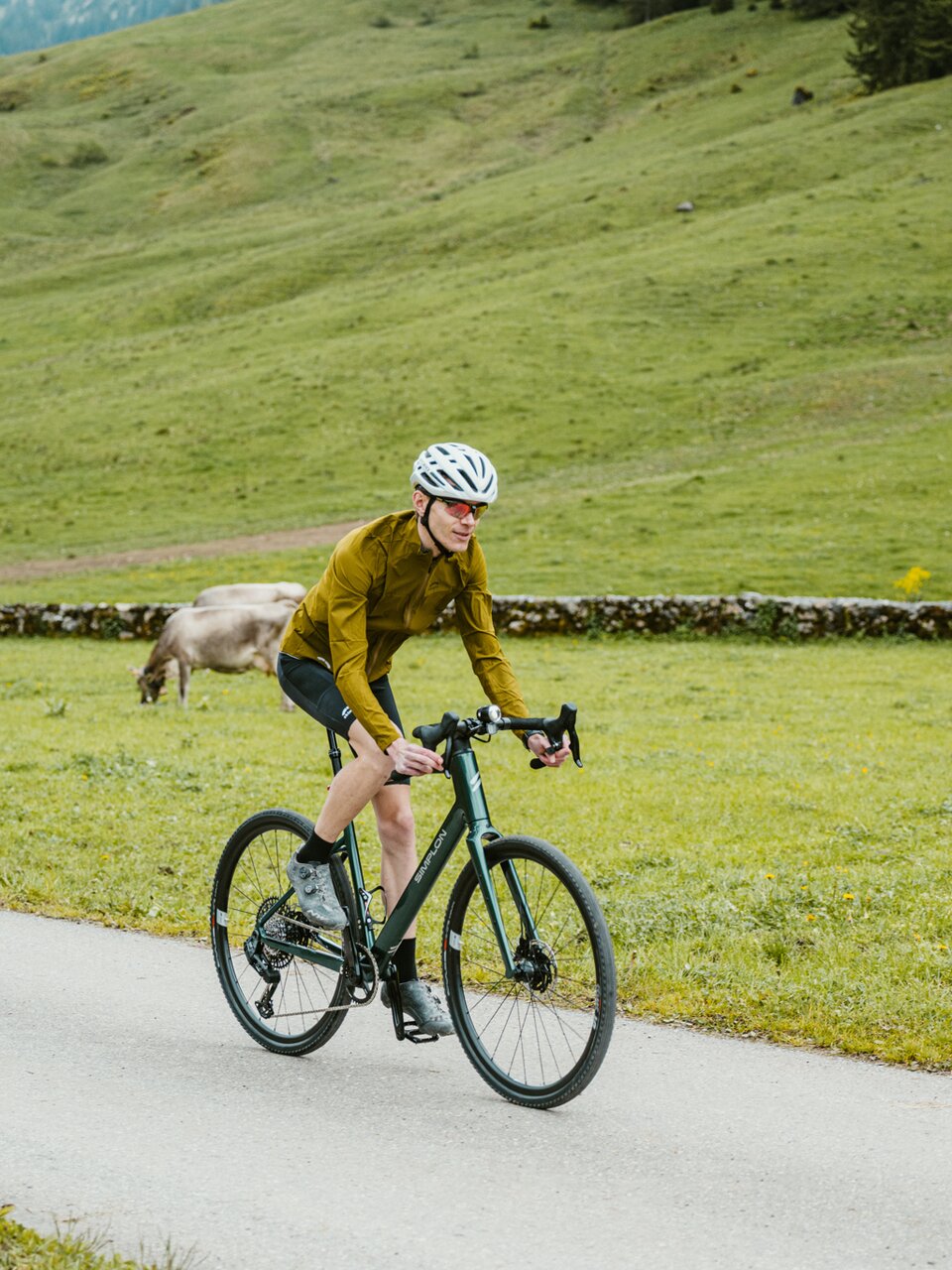 SIMPLON Models – Explore All Bikes