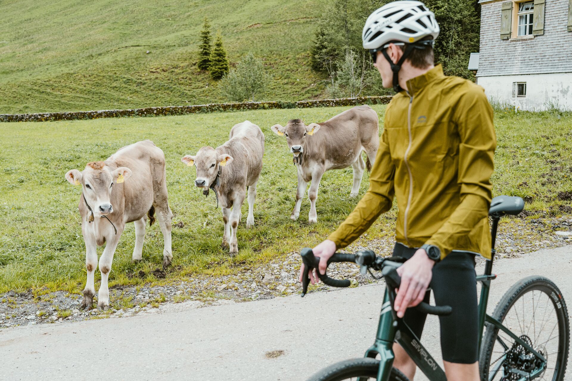 GRID | SIMPLON | simplon.com