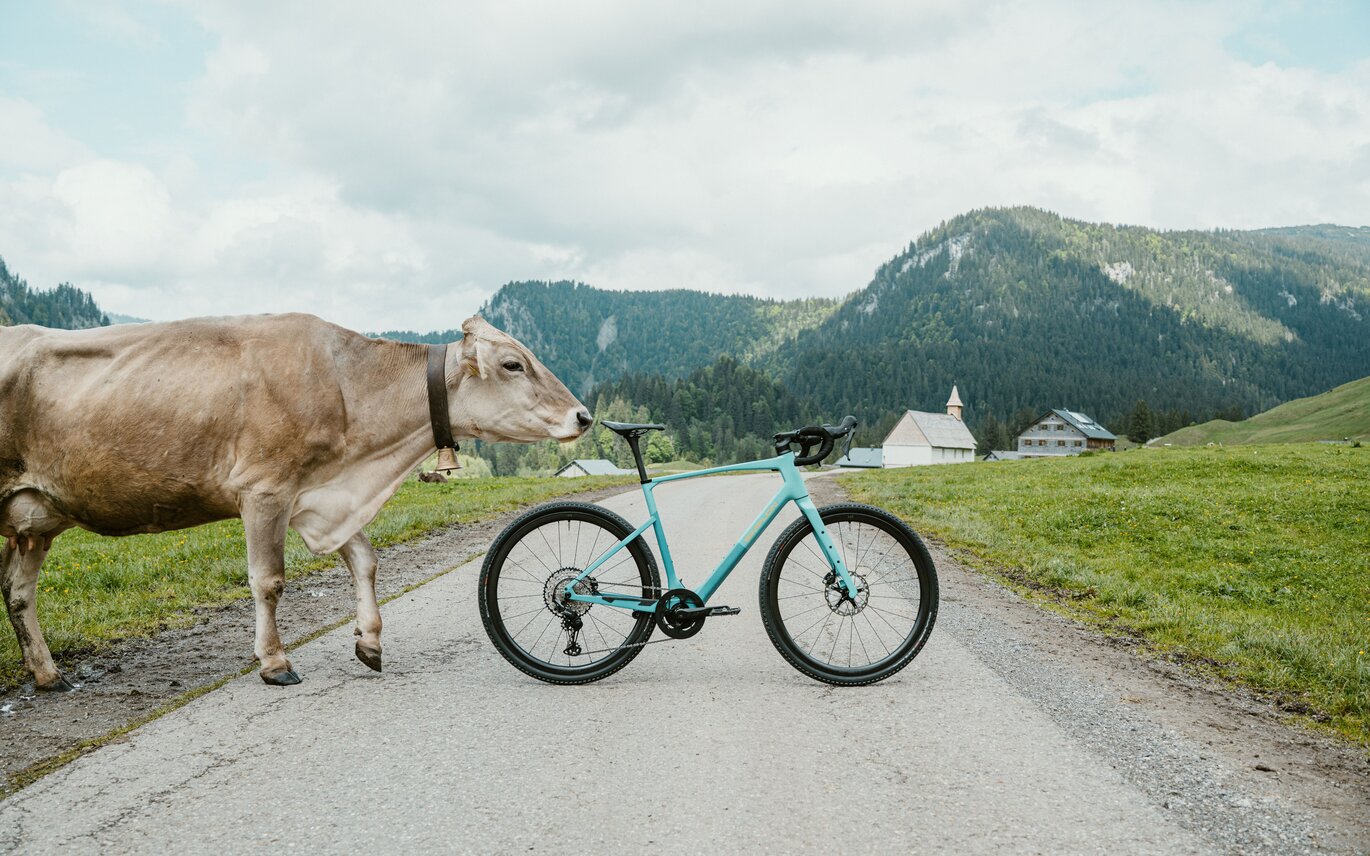 SIMPLON - more than just a bike